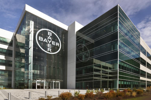 County Glass & Metal - Bayer Building Renovation